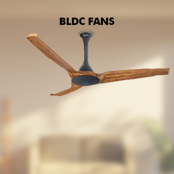 Orpat Group : Clock, Electric Switches, Fans & Home Appliances ...